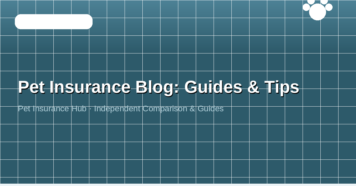 Does Pet Insurance Cover Dental Treatment? | What to Know